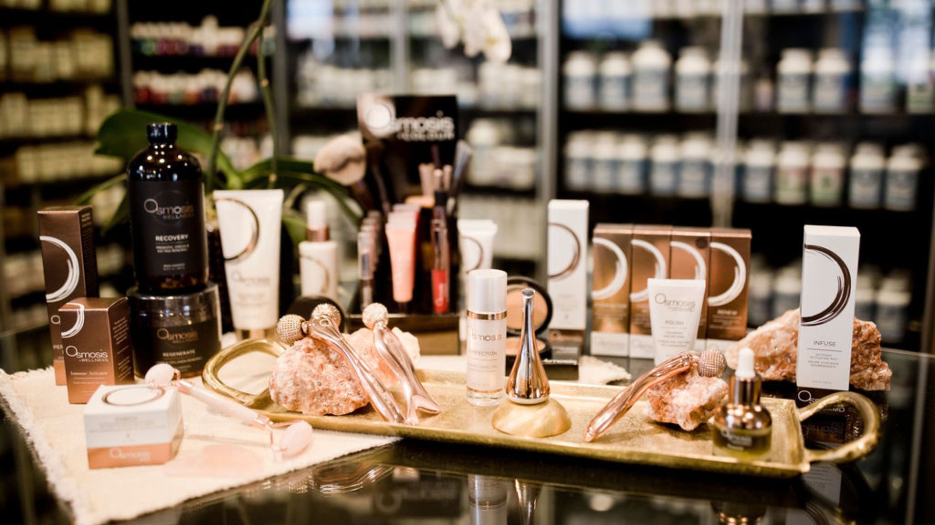 Shop - Cohn Health Institute